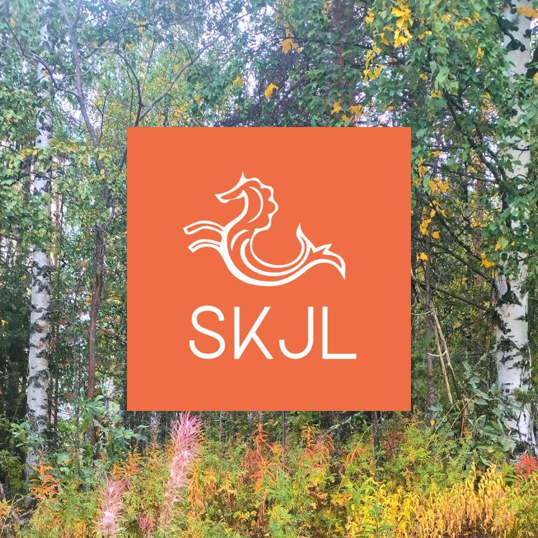 Syyskuun uutiskirje - 30.9.2025 - Suomen kuvataidejärjestöjen liitto